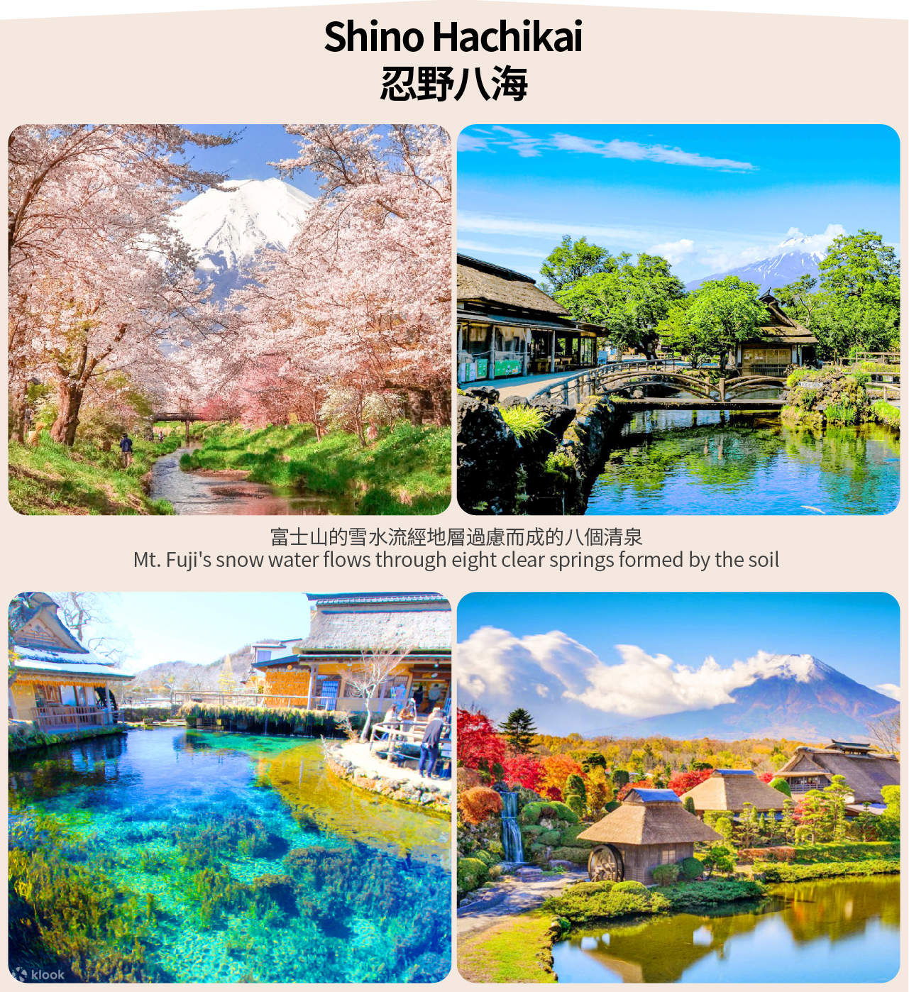 [Fuji Mountain Bike Cycling Matcha Experience Hot Spring In-depth 2-Day ...